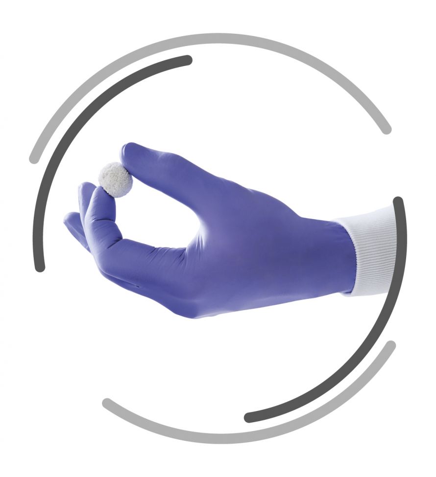 Injectable Bone Substitute