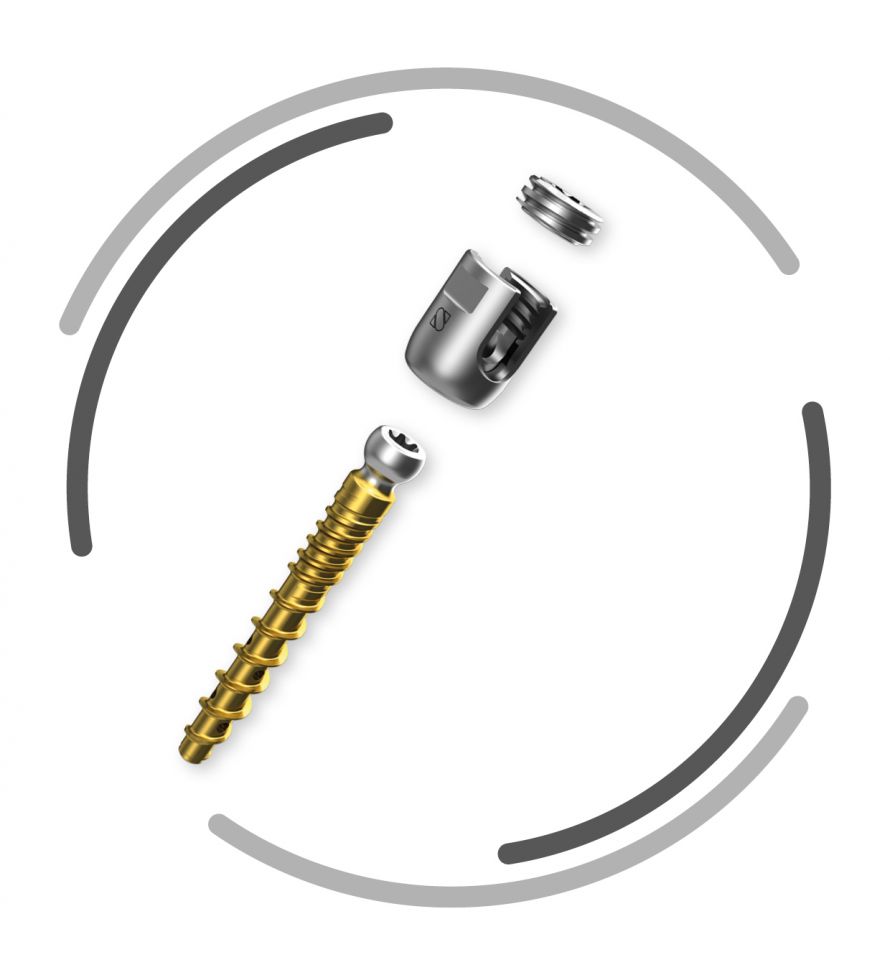 posterior, screw-rod-system, tulip, augmentable