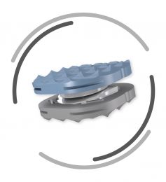 The SIGNUS portfolio for surgical spine care